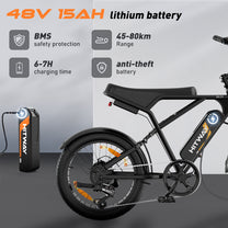 BK29 Electric Bike 250W 48V 15AH | HITWAY Ebike – HITWAY UK