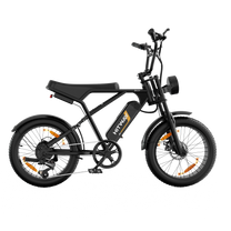 BK29 Electric Bike 250W 48V 15AH | HITWAY Ebike – HITWAY UK