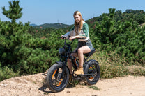 BK29 Electric Bike 250W 48V 15AH | HITWAY Ebike – HITWAY UK