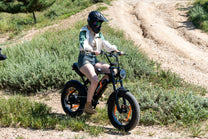 BK29 Electric Bike 250W 48V 15AH | HITWAY Ebike – HITWAY UK